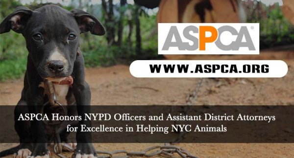 ASPCA Honors NYPD Officers and Assistant District Attorneys for ...